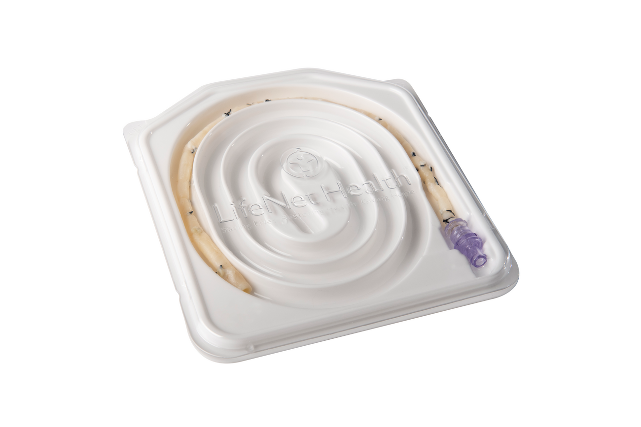 Nexeon® Decellularized Femoral Artery
