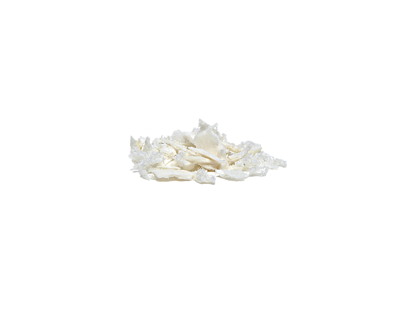 ReadiGraft® Demineralized Cortical/Cancellous Chips | LifeNet Health