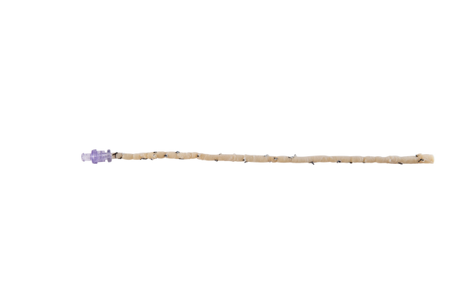 Nexeon® Decellularized Femoral Artery