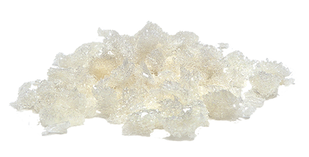 ReadiGraft® Cancellous Chips | LifeNet Health